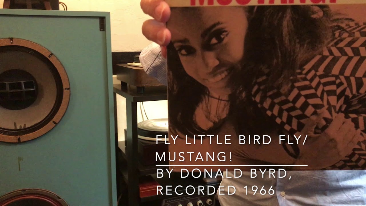 ジャズ喫茶マスターが語るオススメの1曲 ジャズ横丁 #255 Donald Byrd 「Fly Little Bird Fly」 - YouTube