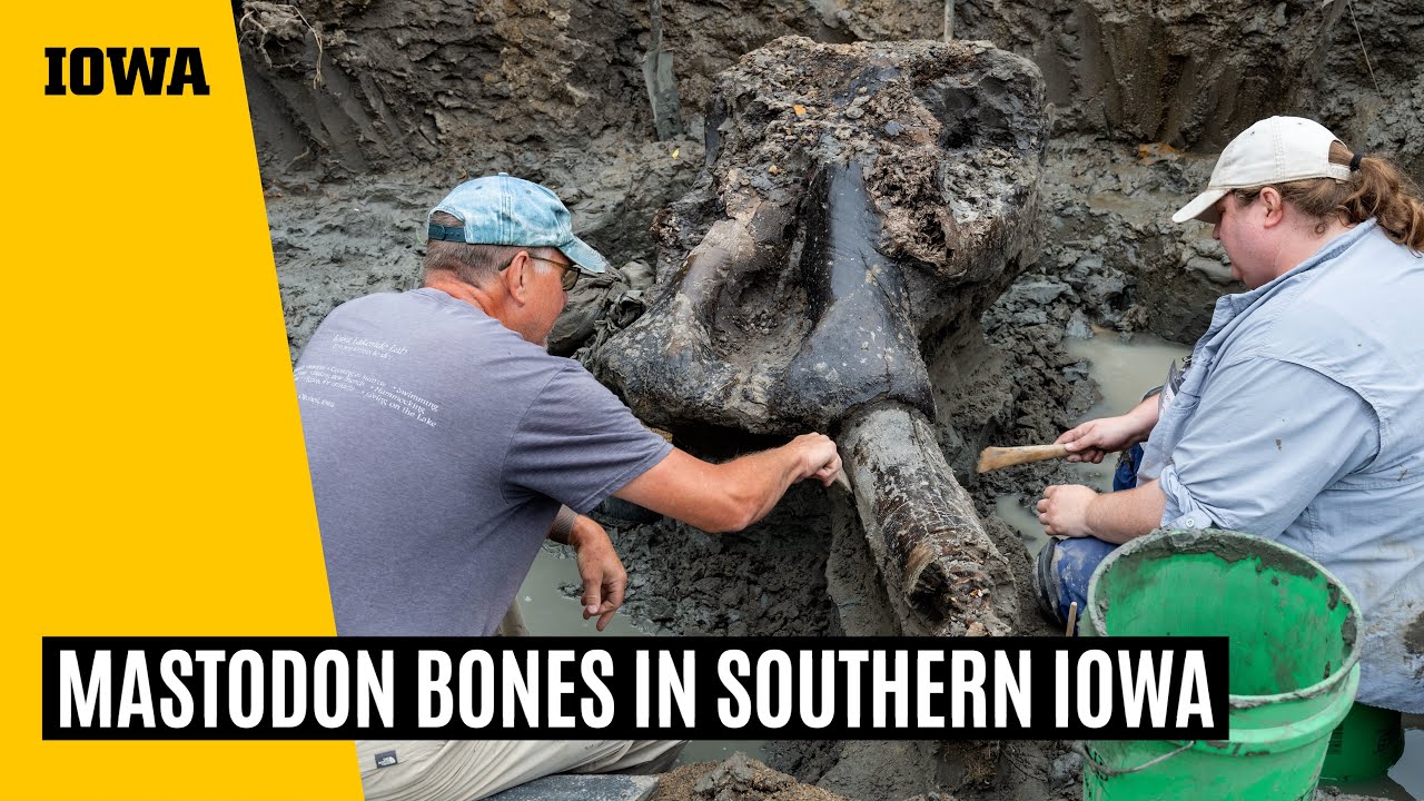 Unearthing mastodon bones in southern Iowa - YouTube