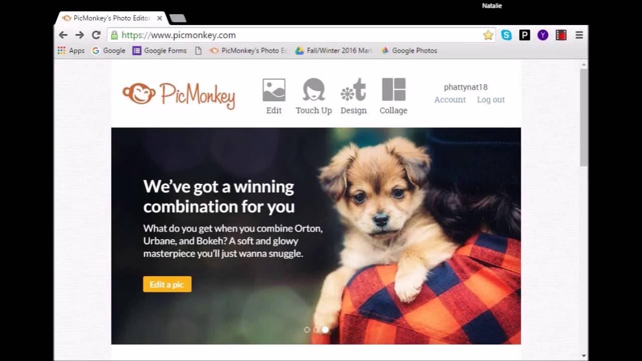 PicMonkey Basic Edit Tutorial - YouTube