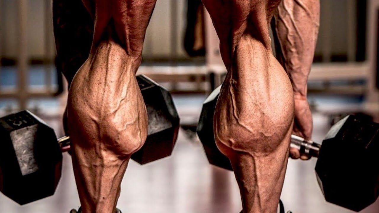Get Bigger Calves How To Force Your Calves To Grow With Smarter ...