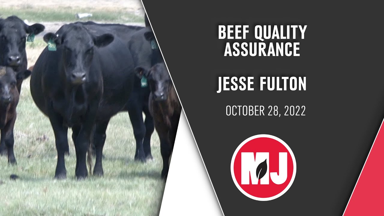 Beef Quality Assurance | Jesse Fulton | October 28, 2022 - YouTube