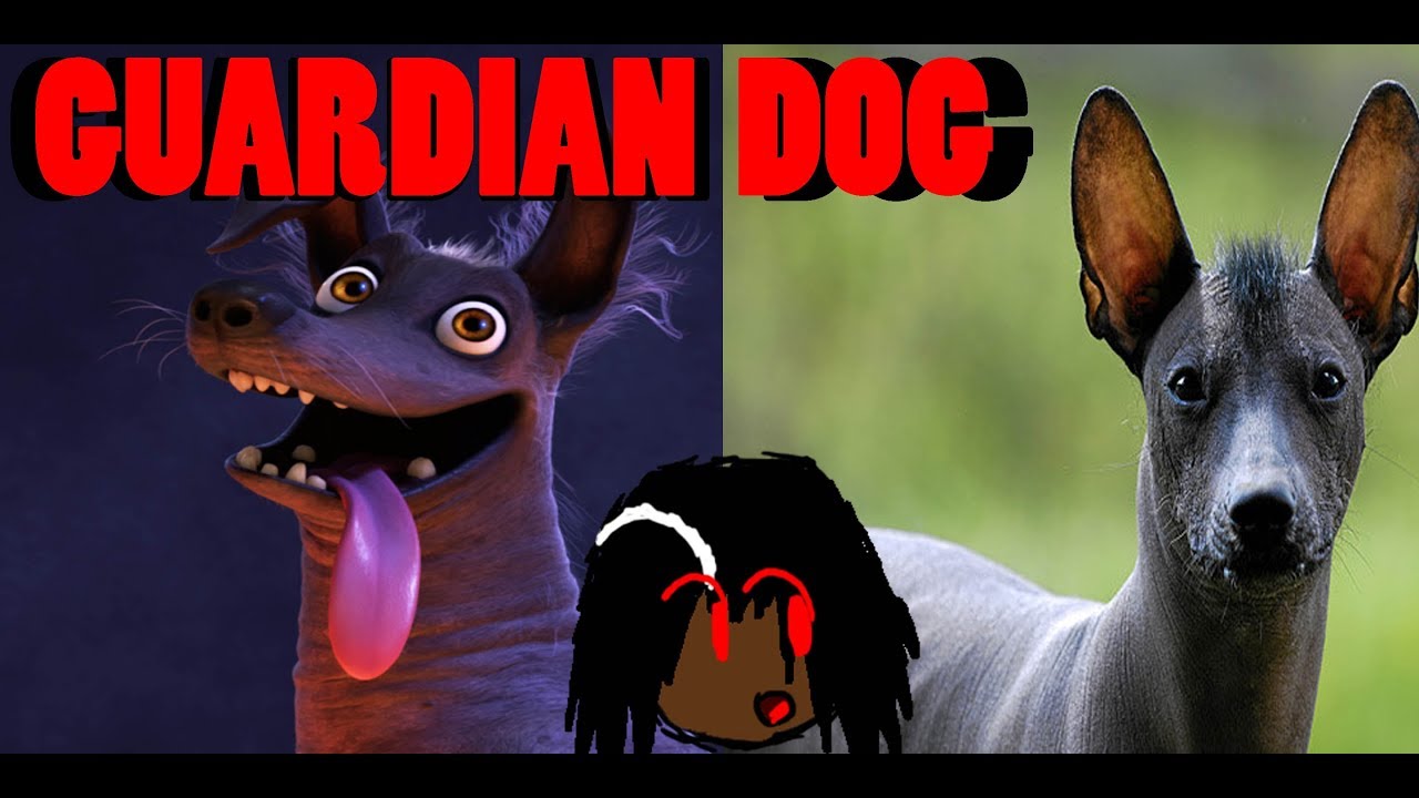 A look at Coco's mythology | 9Bit Over analyzing - YouTube