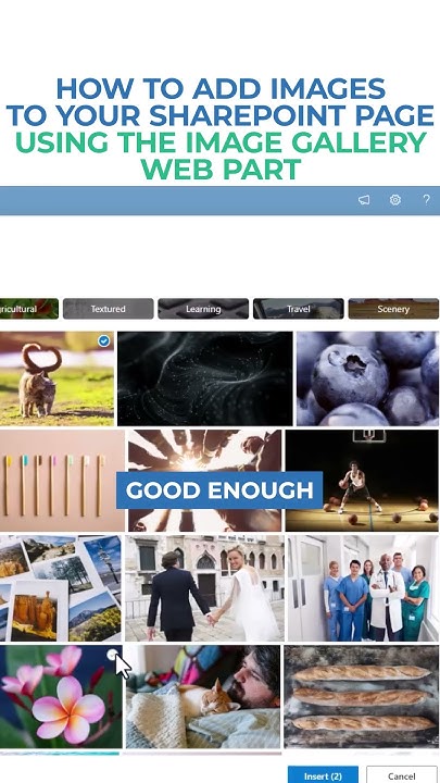 How to add images to your SharePoint page using the Image Gallery Web Part - YouTube