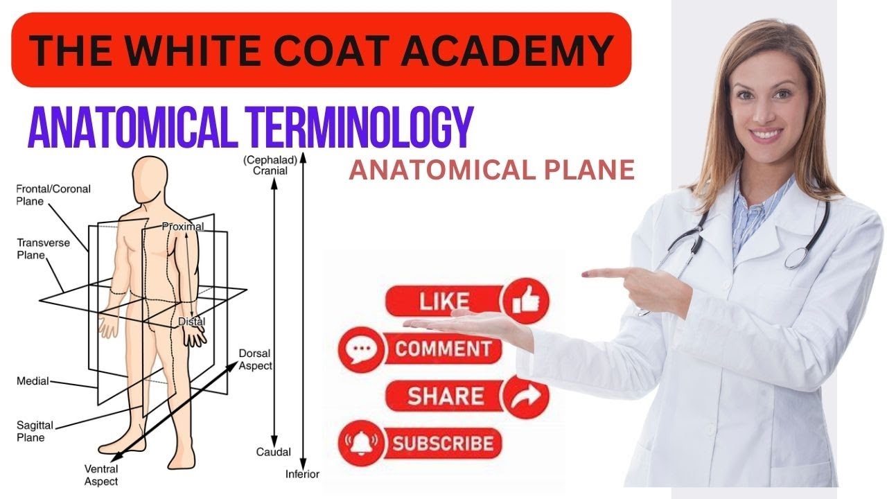 ANATOMICAL TERMINOLOGY- ANATOMICAL PLANE | ANATOMY & PHYSIOLOGY L 3 ...