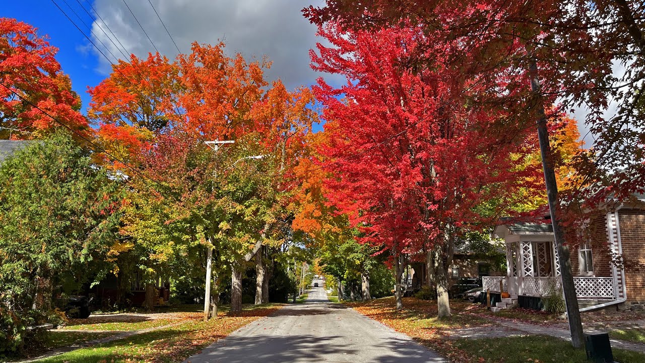 Autumn in Small Town Canada 🍂 (Ontario Fall Foliage) - YouTube