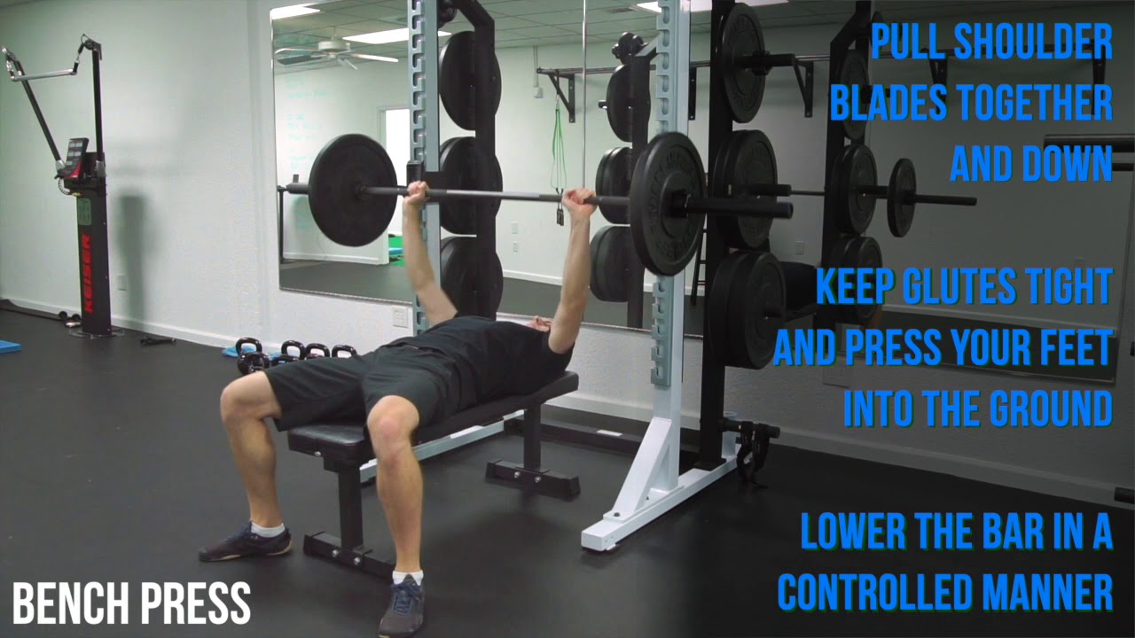 Bench Press - YouTube