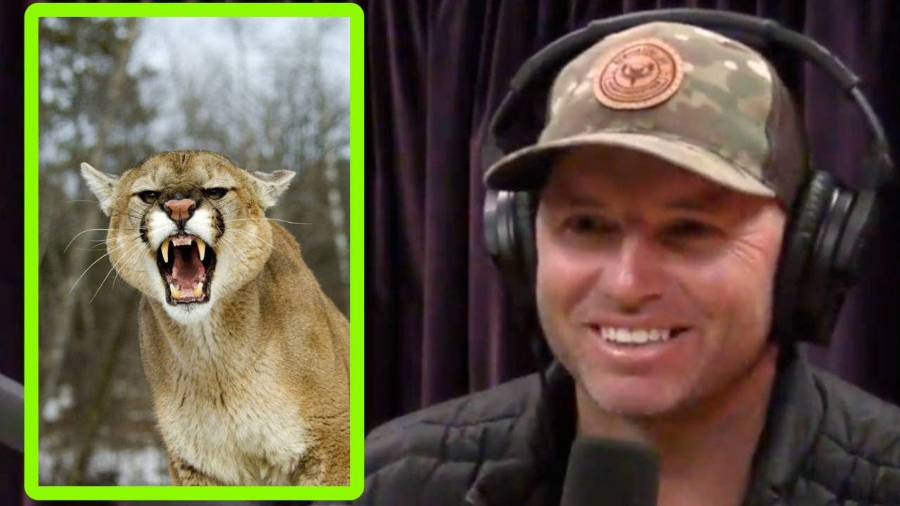Guess What Mountain Lion Tastes Like? - Joe Rogan and Adam Greentree ...