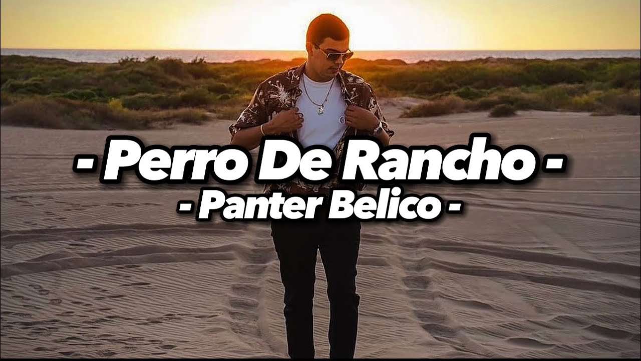 Panter Belico - Perro De Rancho (EXCLUSIVA)(INÉDITA)(LYRICS)(CORRIDOS ...
