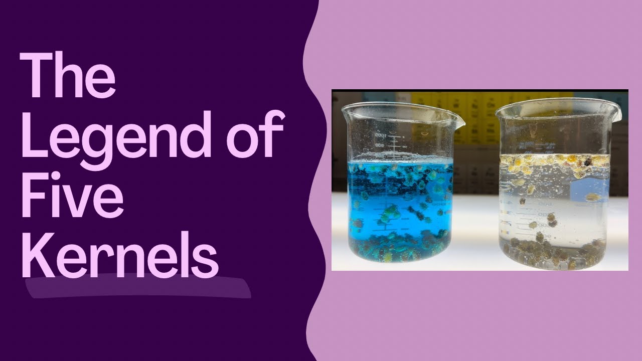 Legend of 5 Kernels - Dancing Popcorn - YouTube