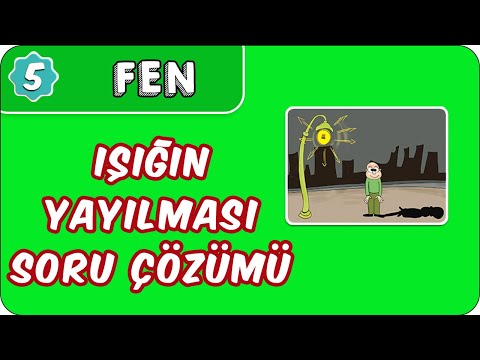 Işığın Yayılması Soru Çözümü  | 5. Sınıf Fen evokul Kampı