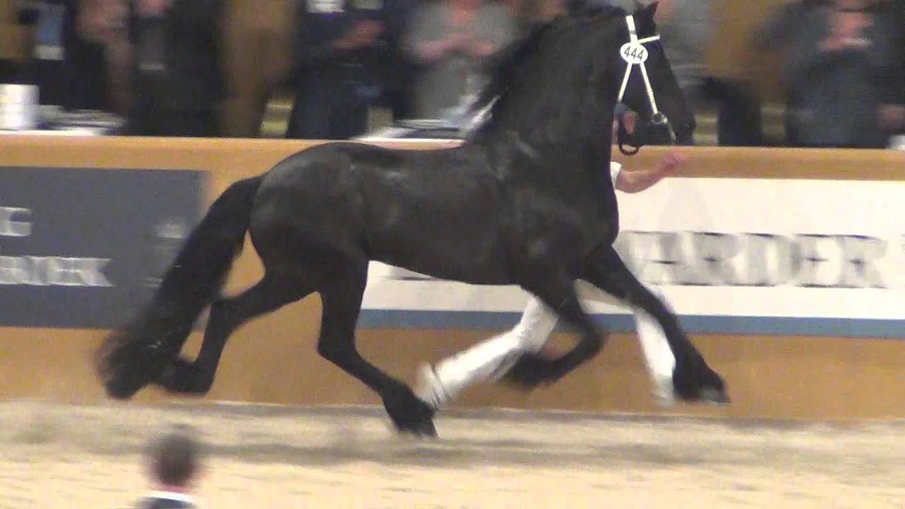 Norbert 444 HK 2013 - YouTube