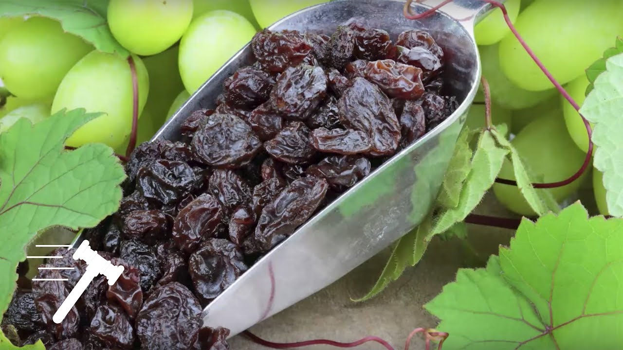 Does the Government's seizure of raisins violate the Takings Clause ...