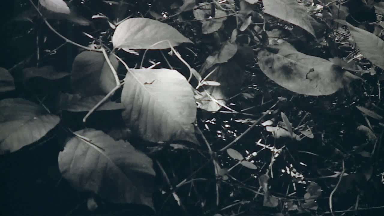 You can check out this new VMFA exhibit through February 25 - YouTube