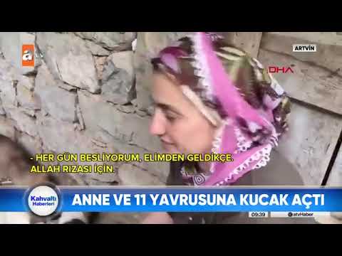 Haber Nusret durur  TV ATV  KÖPEK HABERİ