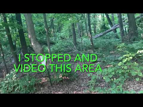 DRIVING TO PLUM POINT NY PARK - YouTube