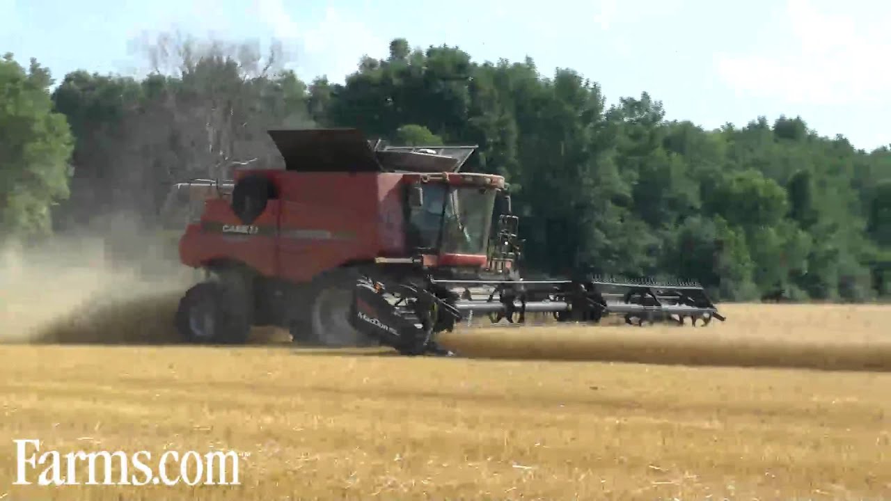 Wheat Harvest Report: Farmer Using A Case IH Combine. Farms.com Harvest ...