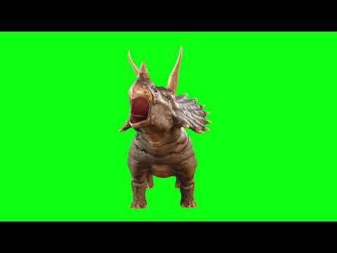 Triceratops Dinosaur Copyright Free Green Screen/Chroma Key