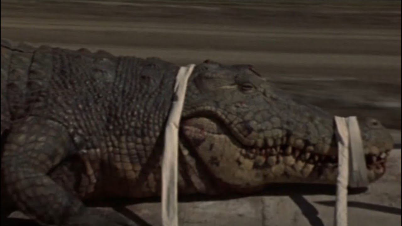 Lake Placid (1999) credits scene / El cocodrilo (1999) escena de los ...