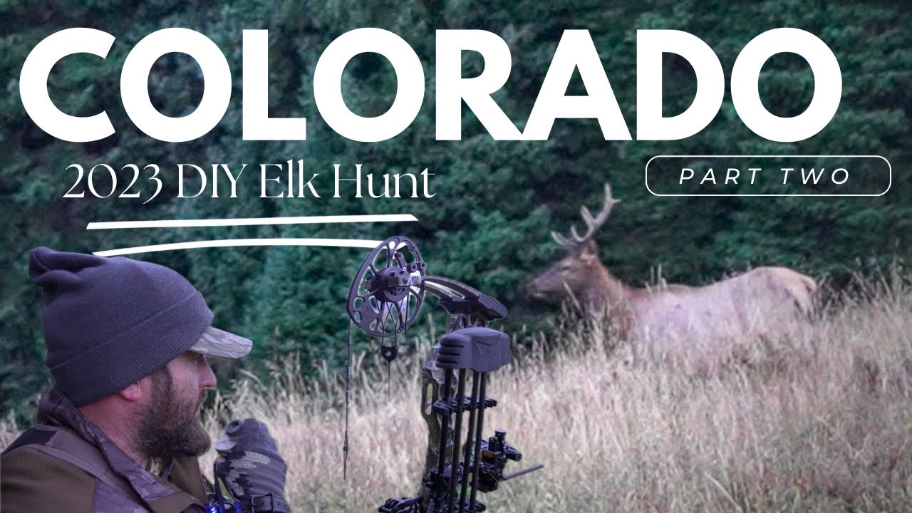 PART 2! 2023 DIY Backcountry Archery Colorado Elk Hunting… It’s Down to ...