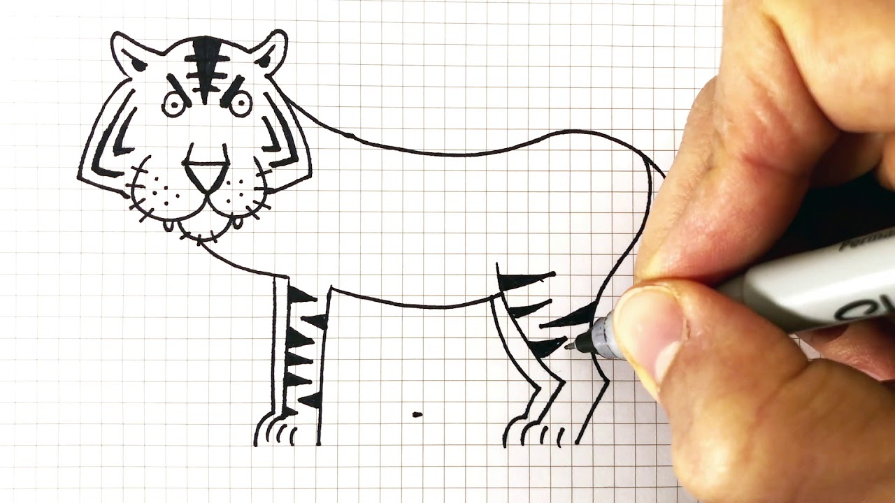 DISEGNARE UNA TIGRE - Disegna! (con me) by Claudiofrancescato - YouTube