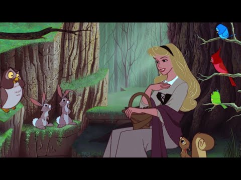 Sleeping Beauty Special Edition Dvd 2003 Opening Youtube