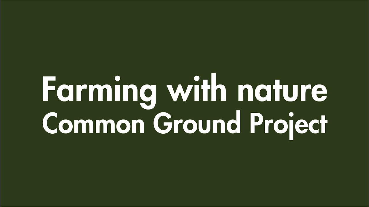 Farming with nature | Common Ground Project - YouTube