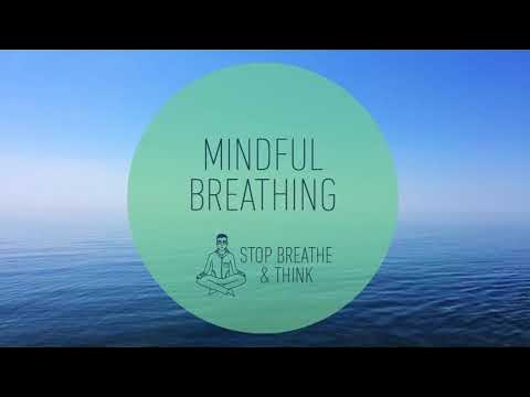 STOP BREATHE AND THINK/ MEDITATION - YouTube
