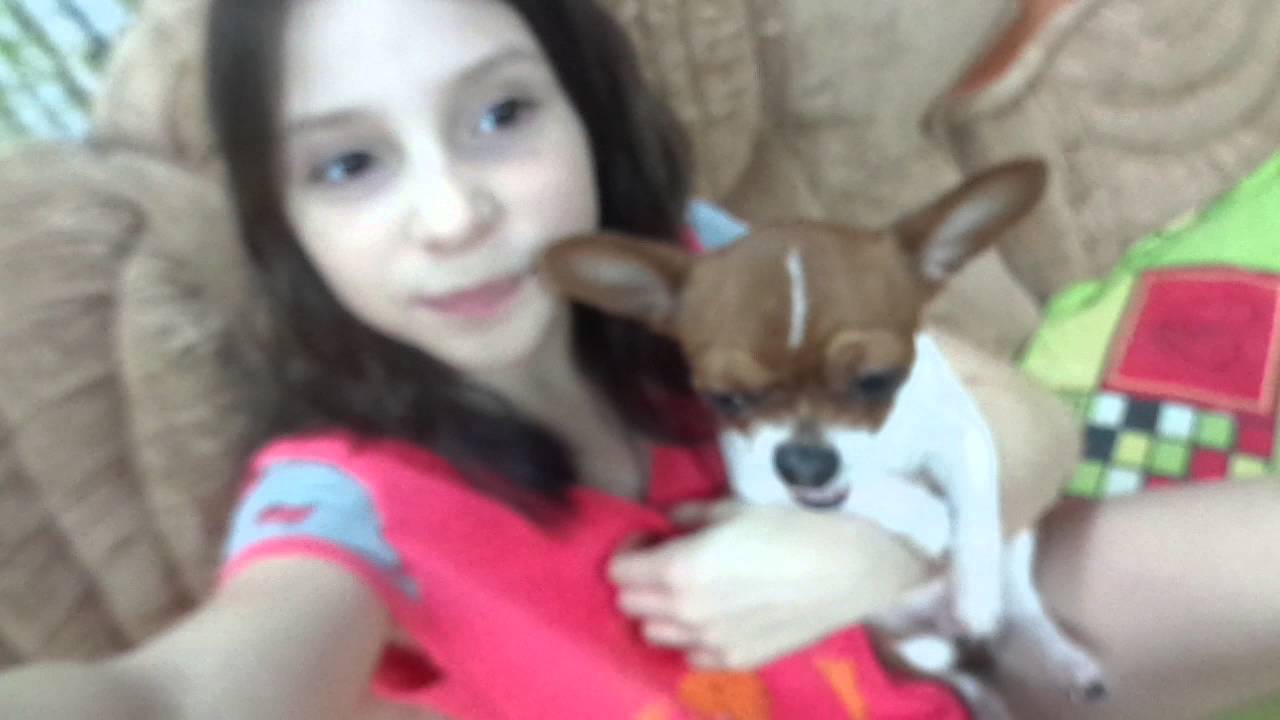 Знакомство Youtube