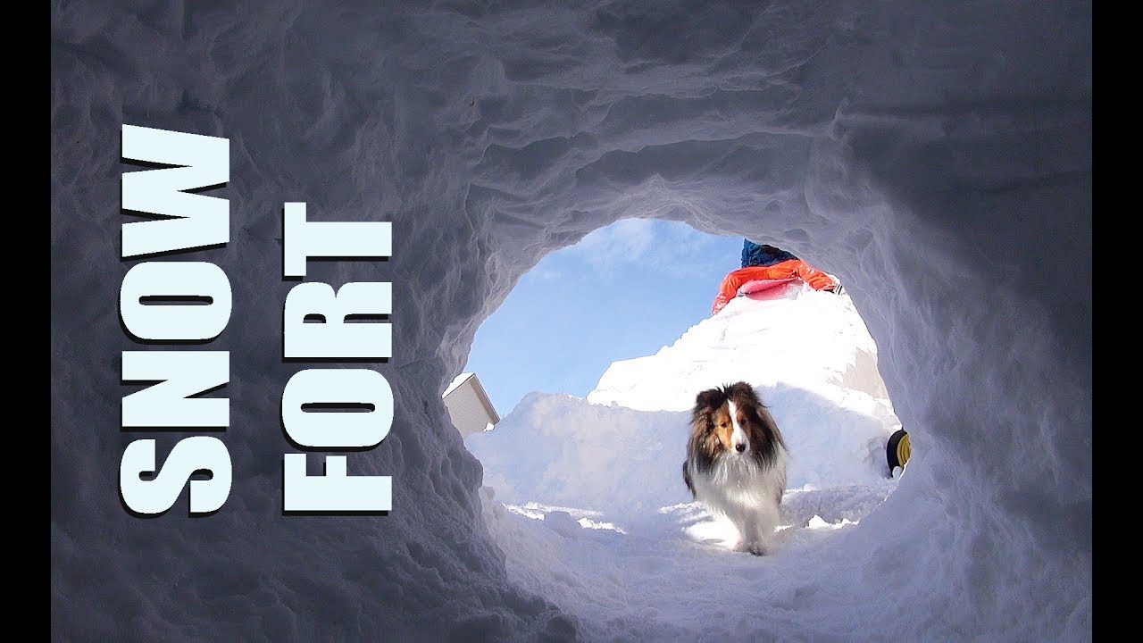 ULTIMATE SNOW FORT! #5 - 7 Feet HIGH??? ROOF TOP SLIDE? 🏔 ️ - vlog e169 ...