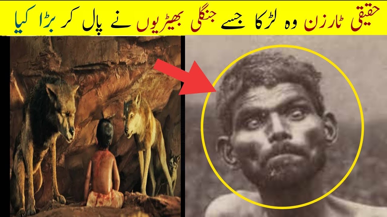 Story Of Dina Sanichar - Real Life Mowgli | Sharp tv - YouTube