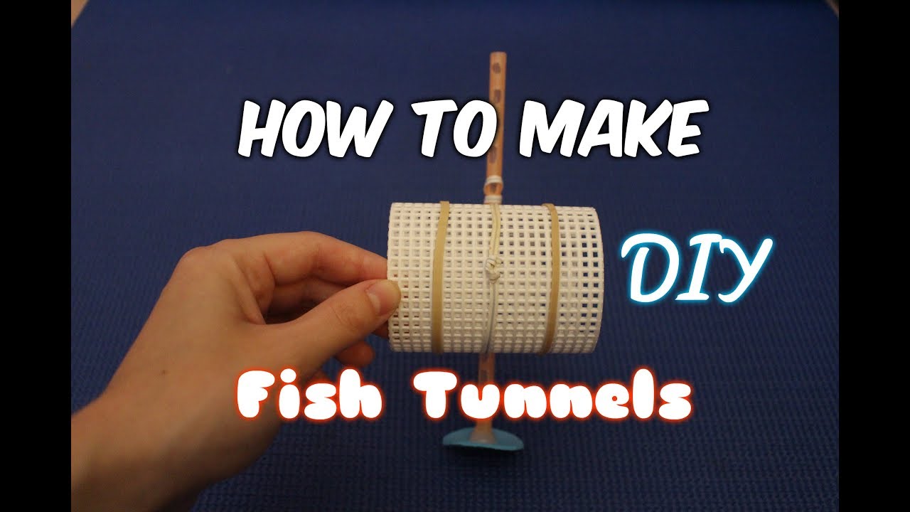 How to Make a Tunnel and Stand for Fish Training - YouTube