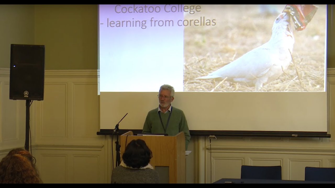 Ian Temby - Cockatoo college: learning from corellas - YouTube