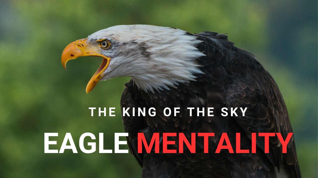 The Eagle Mentality - Best Motivational Video - YouTube