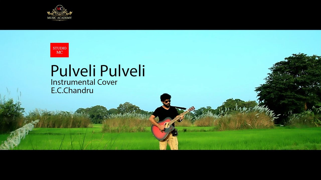 Pulveli Pulveli Instrumental Cover - YouTube