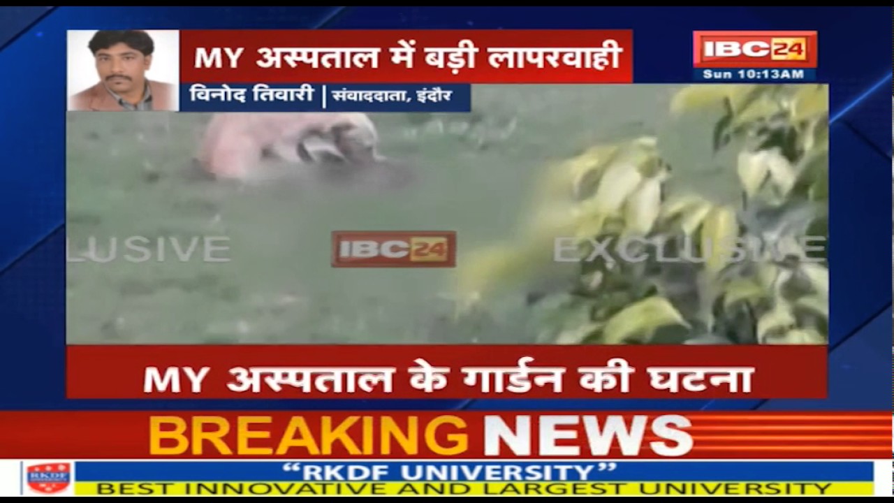 MY HOSPITAL INDORE YouTube my-hospital-indore-youtube