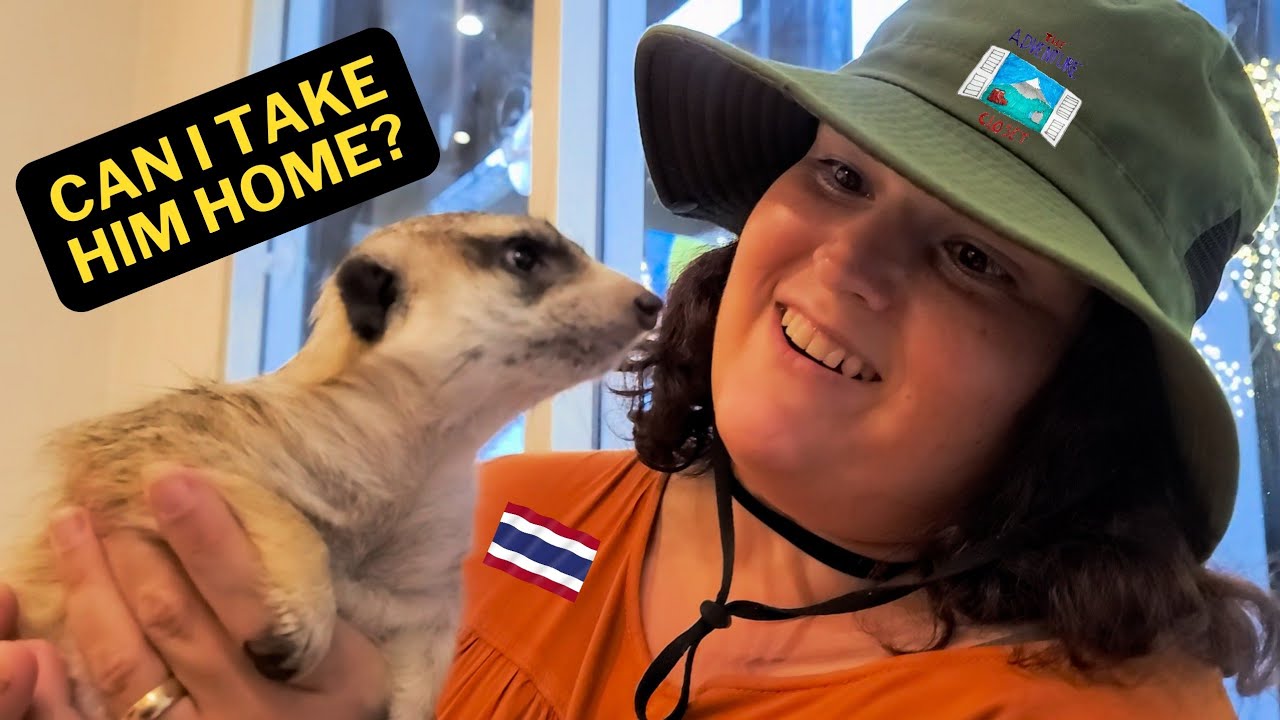 An Exotic Animal Cafe in Bangkok! | Plus a Special Guest! - YouTube