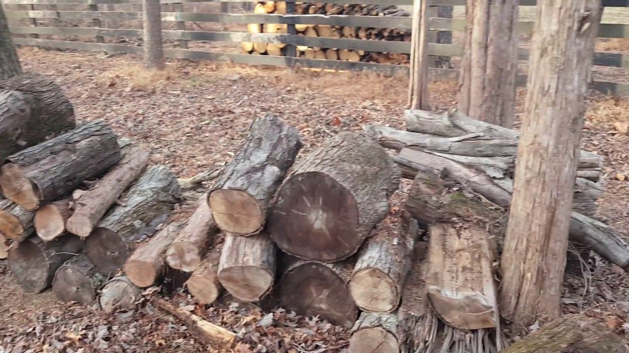 Stumps, logs, and stick/brush clean up area - YouTube