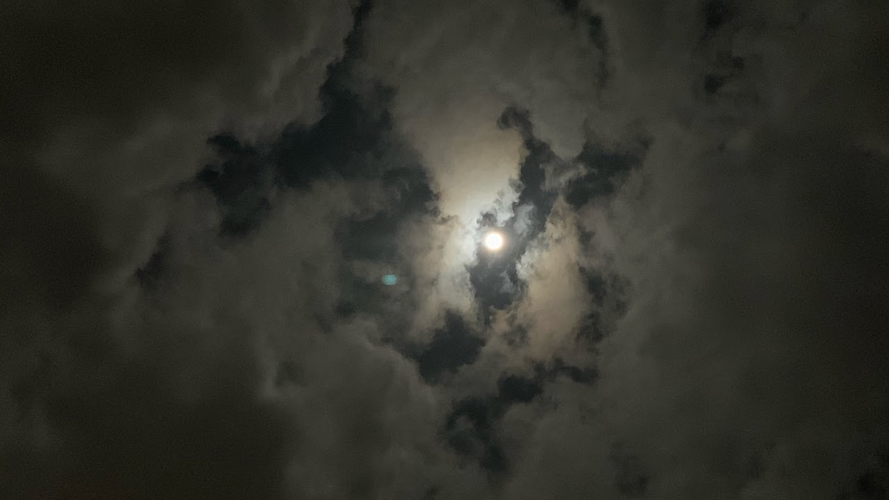 AUBREX Live Stream - YouTube