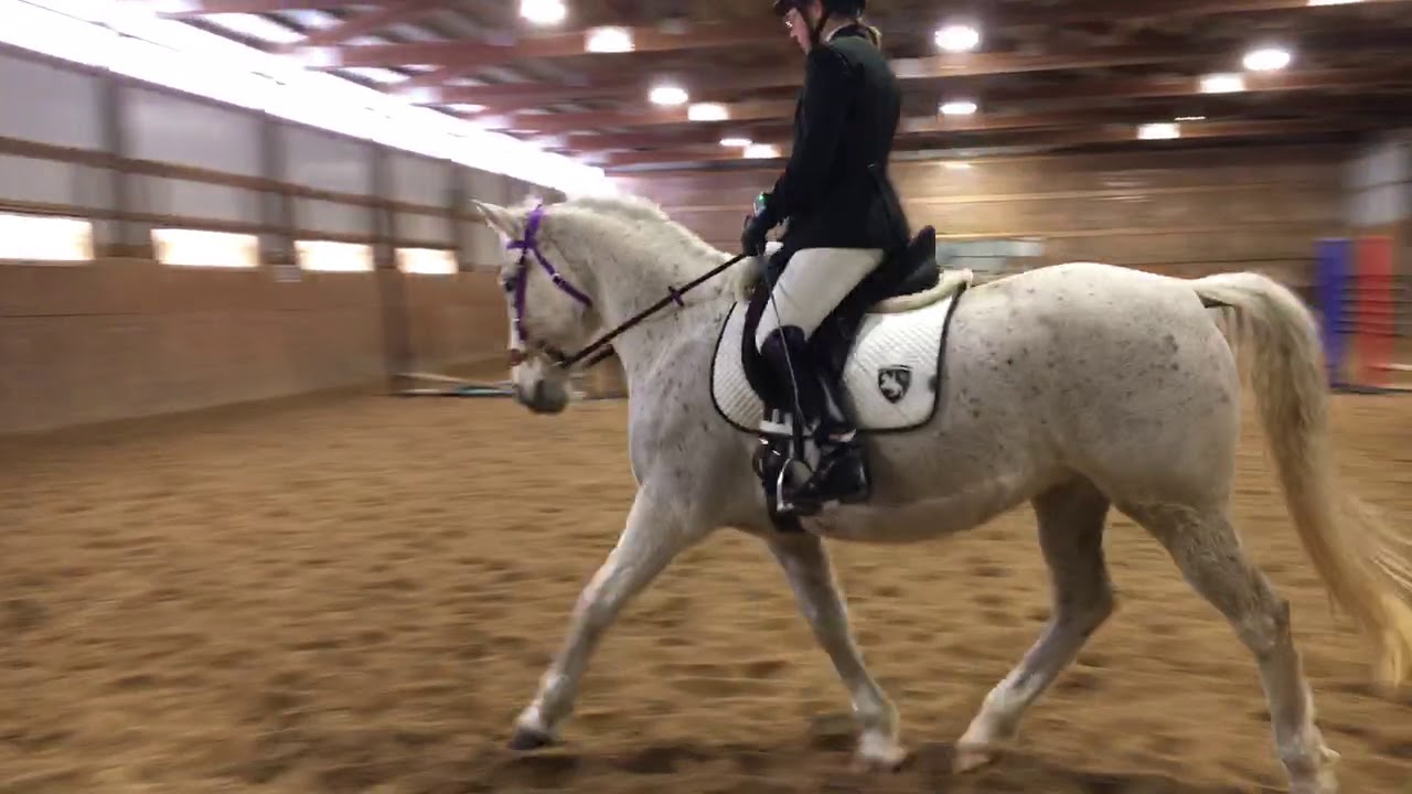 InterDressage Maribeth Brown Class 5A Showing Living Out Ridden - YouTube