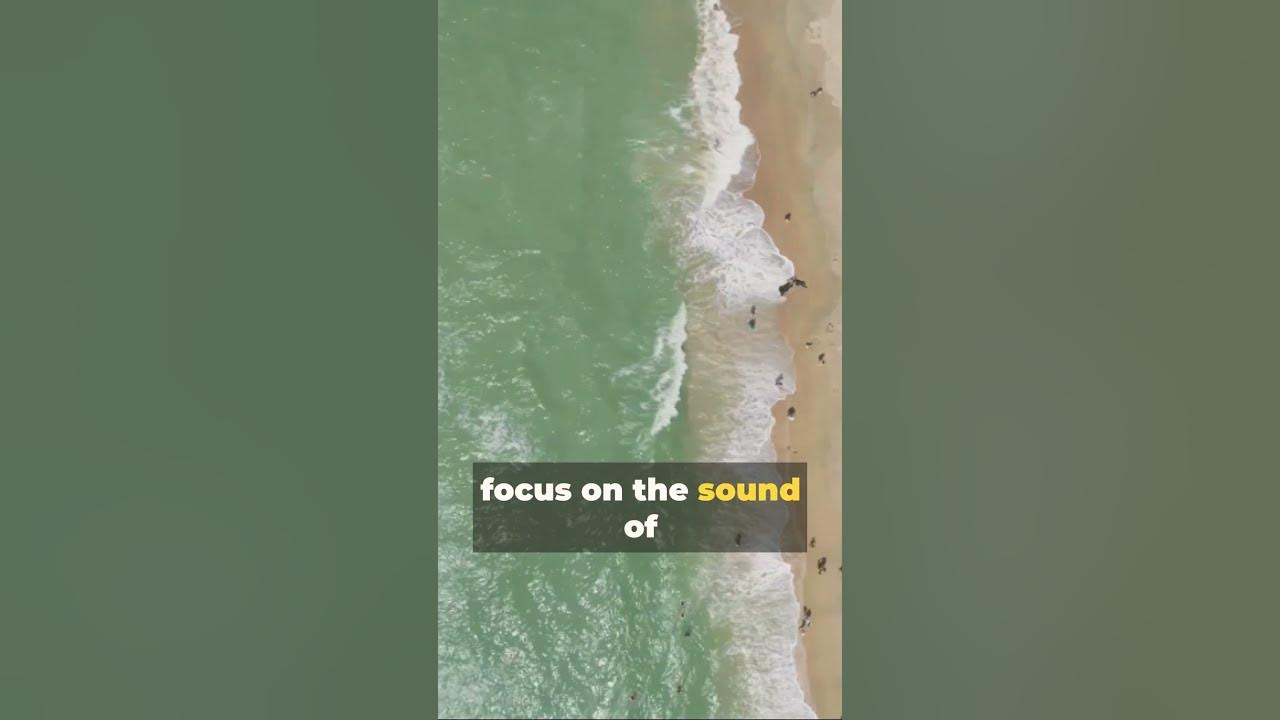 Welcome to “Coastal Tranquility: Guided Meditation on Florida’s Serene ...