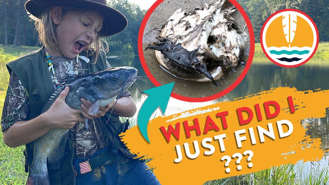 Catfish Skeleton? Or something else??? | Outdoor adventures for kids ...