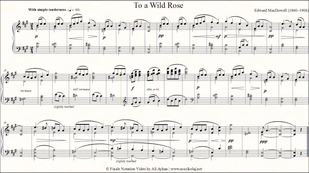 To a Wild Rose - MacDowell - Piano - YouTube