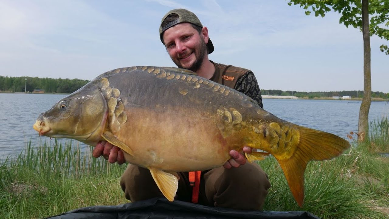 Karpiowe Eldorado | Łowisko Strong Carp Lake - YouTube