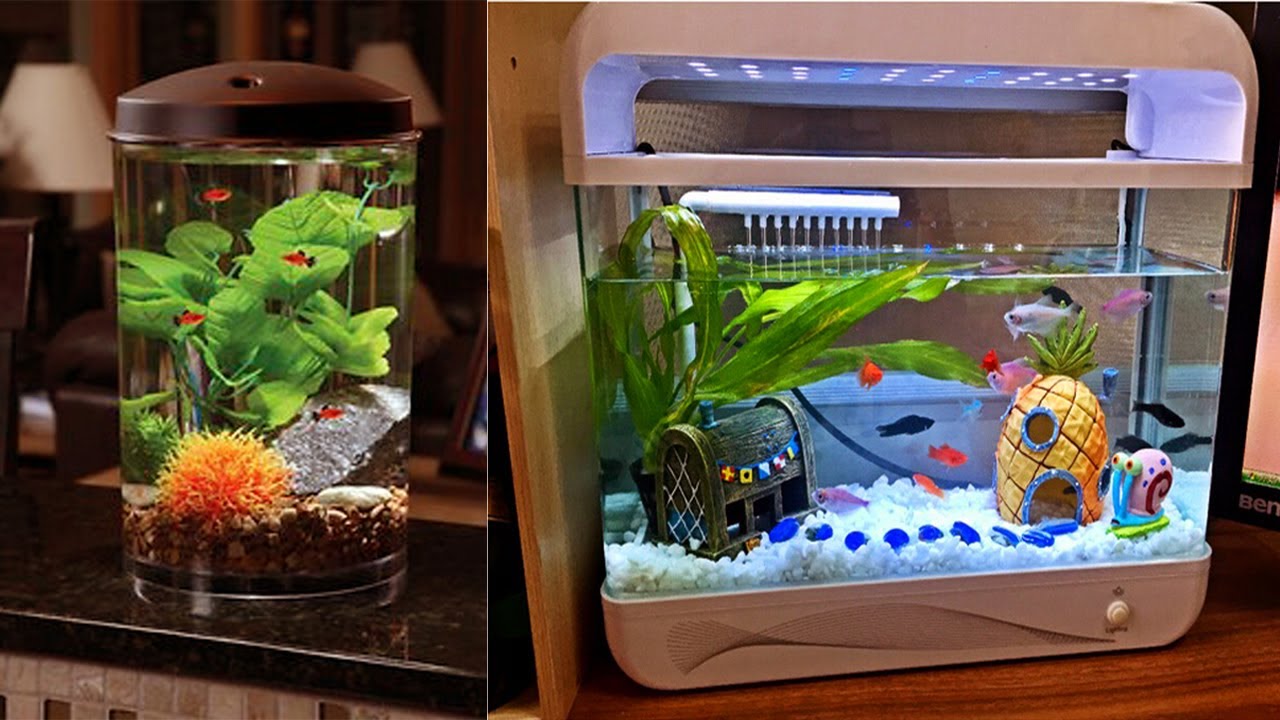 Most Creative Fish Tank Decoration Ideas | DIY Aquarium decor - YouTube
