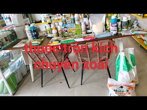 Special mixed medicine to stimulate mango growth, Taiwan, Cat Chu