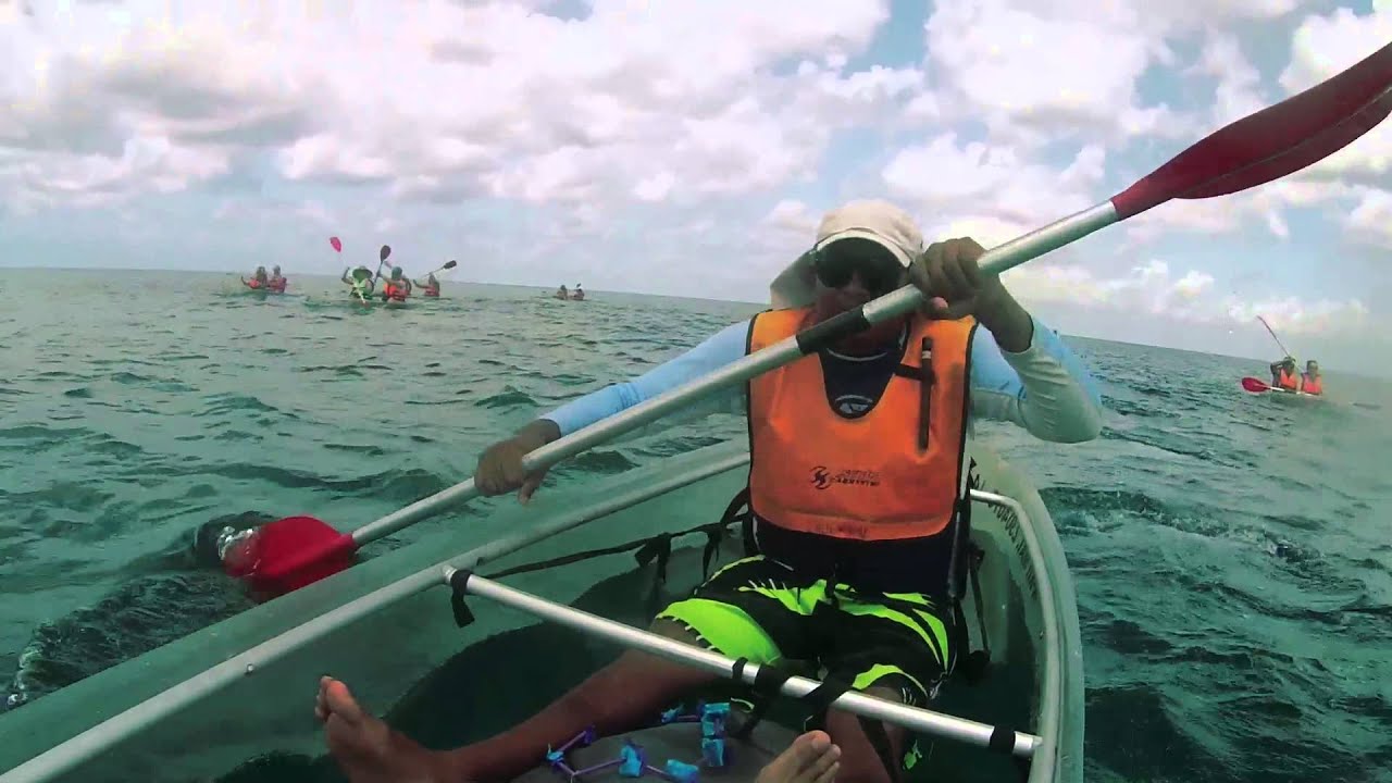 Cozumel Clear Kayak excursion. - YouTube