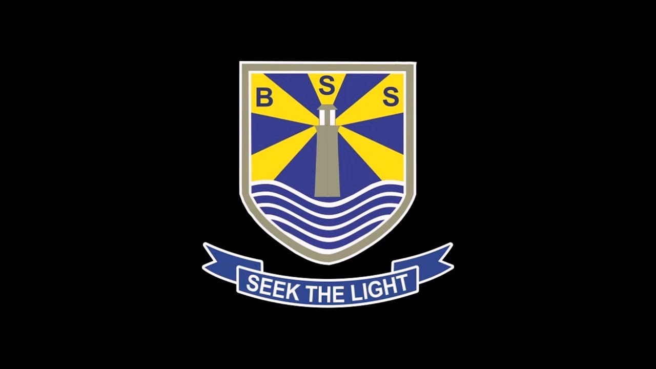 BSS Logo HD - YouTube