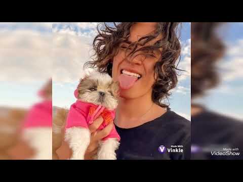 Como hacer tus videos mas cool (Vinkle) // Somos YaeLovers - YouTube