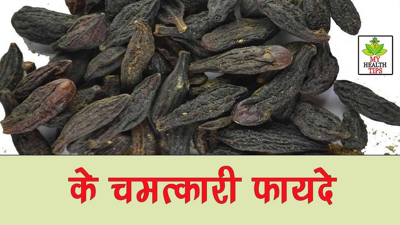 KALI HARAD KE FAYDE काली हरड़ के फायदे जानकार आप रह जायेंगे दंग. - YouTube