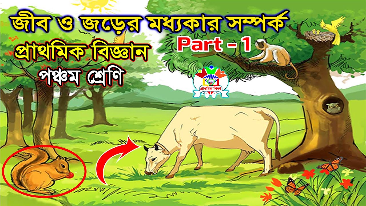 Class 5 science chapter 1 | ৫ম শ্রেণির বিজ্ঞান | class 5 biggan - YouTube